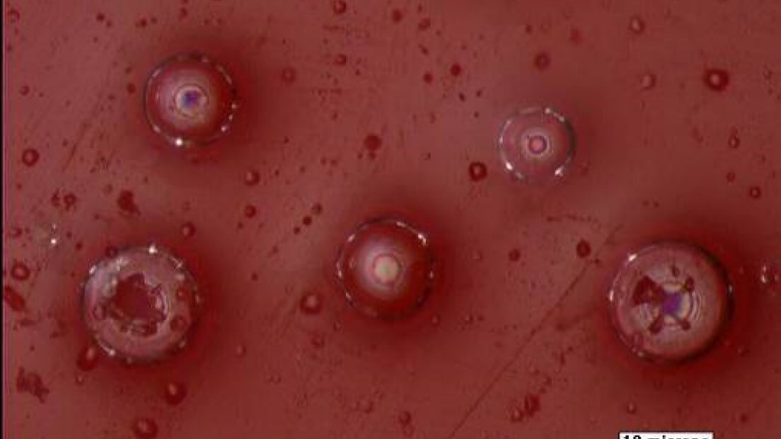 Paint Defect Search Tool